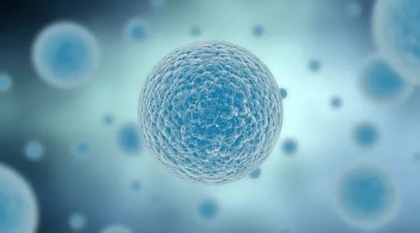 Giải mã năng lực "đột phá" của các CEO - Appota News